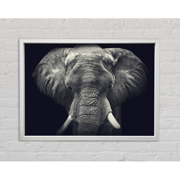 Bright Star Majestätischer Elefant - Einzelner Bilderrahmen Kunstdrucke auf Leinwand | Wayfair.de